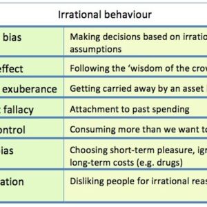 Biz Tips: Making Sense Out of Irrational Behavior | BizAtomic